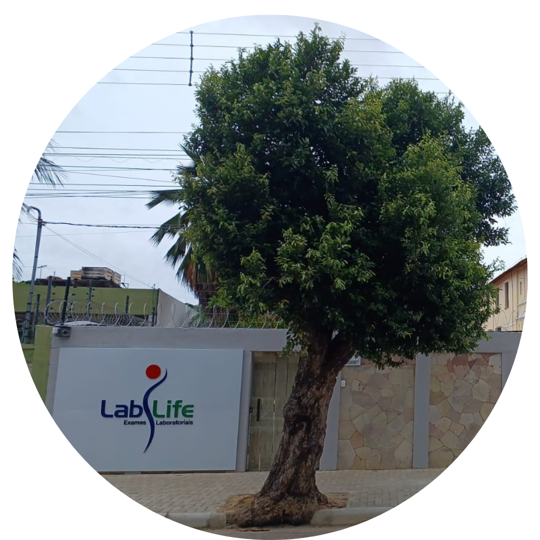 Contato - LabLife - Exames Laboratoriais